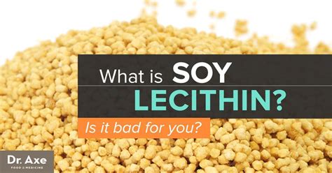 What Is Soy Lecithin 8 Potential Major Benefits What