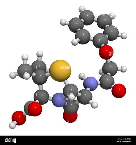 What Is Antibiotic Penicillin At Grace Reinhold Blog
