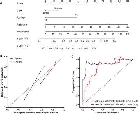 The Nomogram To Predict Probability Of Rfs For Stage Ii Colon Patients
