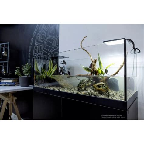 AQUATerrário para tartarugas aquáticas Vários tamanhos