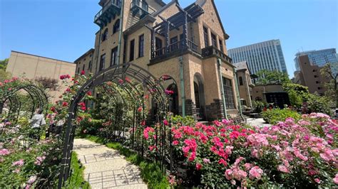 無料で楽しめるバラと洋館のある風景！「東京ガーデンテラス紀尾井町」は都心のバラ新名所（oto） エキスパート Yahoo ニュース