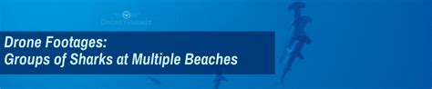 Drones Capture Video Of Groups Of Sharks At Multiple Beaches