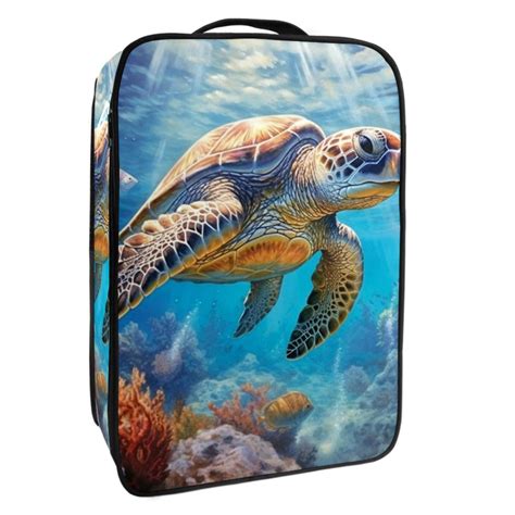 Turtle Clear Polyester Shoe Containers 23x31cm9x12in Shoe Storage