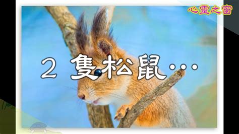 心靈之窗 2 隻松鼠笑話篇 笑一笑無煩惱 YouTube