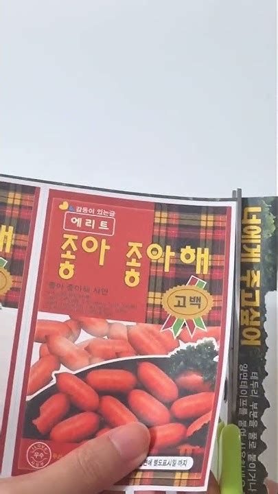 입체편지지 만들기 좋아햄 만들기 햄 소세지 미니어쳐 미니어쳐만들기 만들기 종이접기 Making 입체편지지 편지지 예쁘군30 내마음rg Youtube