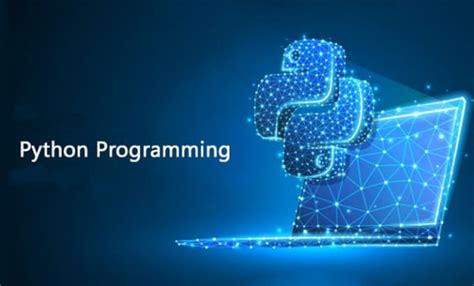 Program Or Debug Your Python Scripts By Ahmednoor17 Fiverr