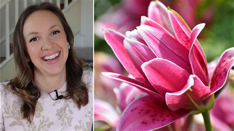 Lily Chat And Giveaway Winner Fabulous Lilies For Cutting And Garden Design Northlawn