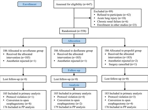 Anesthesia And Analgesia