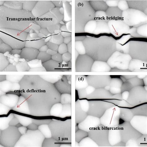 Transgranular Fracture In Yt1 A Crack Bridging B Deflection C Download Scientific