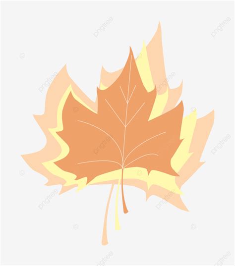 Leaves Space Up Sun Forest Day Park Png Transparent Image And