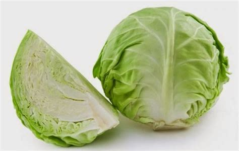 Prirodno Liječenje OBLOZI OD KUPUSA SU LIJEK EVO ŠTA ĆE DA SE DESI AKO IH STAVITE NA GRUDI