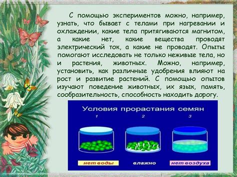 Наблюдение и эксперимент как ведущие методы в биологии презентация онлайн