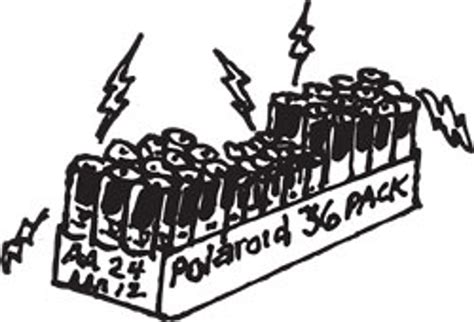 36 Pack Polaroid Alkaline Battery Assortment