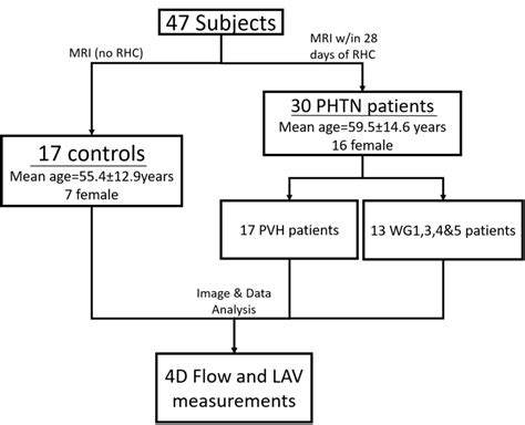 Thirty Phtn Patients Age 59 5±14 6 Years 16 Female Underwent The