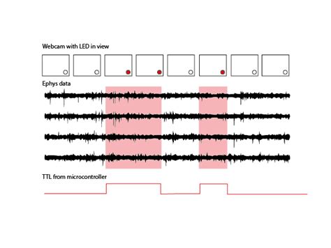 Synchronizing With A Behavioural Camera — Acquisition Board Docs