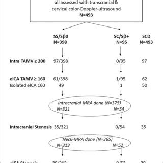 FIGURE Flowchart Of The Newborn SCD Cohort Study Systematically Download Scientific Diagram