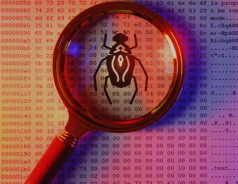 The Lifecycle Of A Software Bug From Discovery To Defense