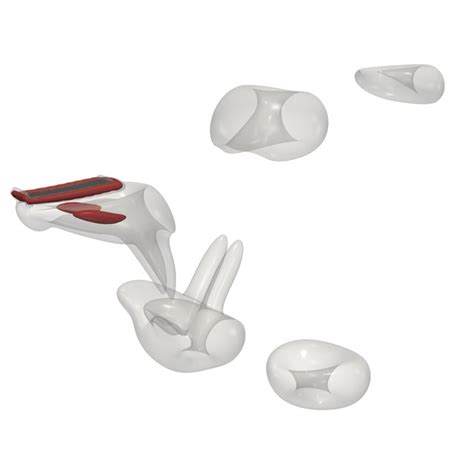 Visualization Of The Flow Structures Around The A 05 Flapper At Two