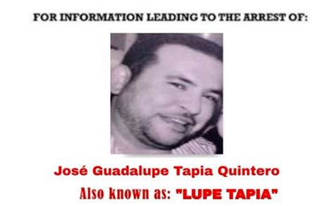 Quién es Lupe Tapia presunto operador logístico del cártel de Sinaloa