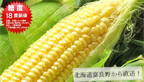 【楽天市場】とうもろこし 北海道富良野産 秀品 2lサイズ ピュアホワイト5本・恵味（めぐみ）5本 計10本 送料無料 別途送料が発生する地域