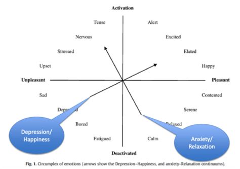 W10 Positive Functioning In Psychology Flashcards Quizlet
