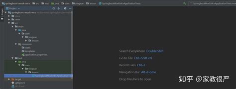 Springbootshiroredisjwt实战 08 单元测试 Mockmvc 知乎