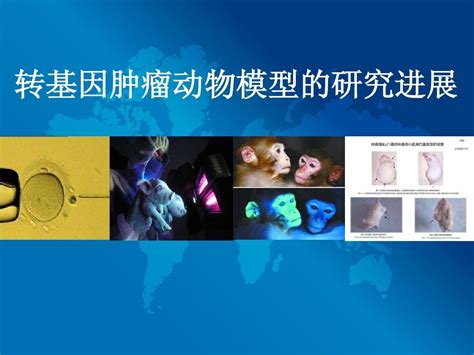 转基因肿瘤动物模型的研究进展word文档在线阅读与下载无忧文档