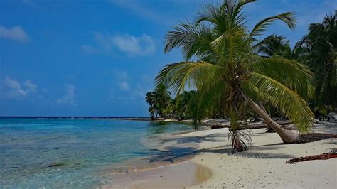 Ofertas De Viaje A Punta Cana Y Casi 2x1 Central De Vacaciones