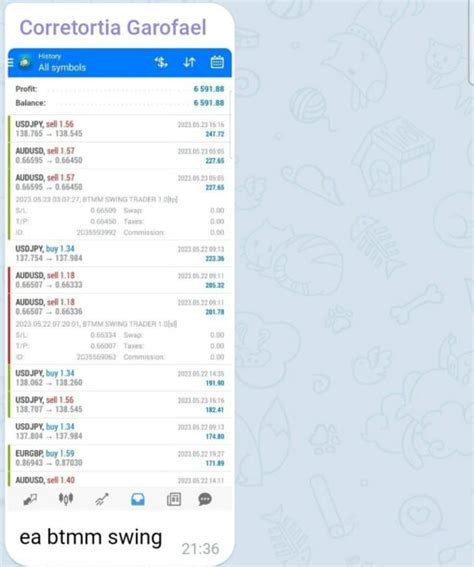 Btmm Swing Trader Ea Mt4 V1 0 Working Build 1420