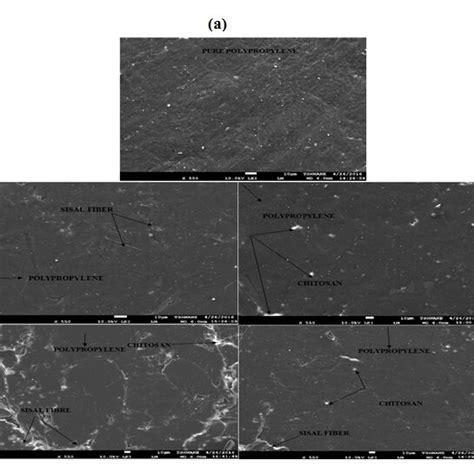 Pore Morphology Of Fractal Dimension Of A 100 Pp B 92 Pp