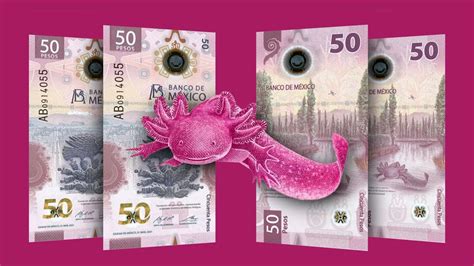 Éste es el precio real de un billete del ajolote serie palíndromo que