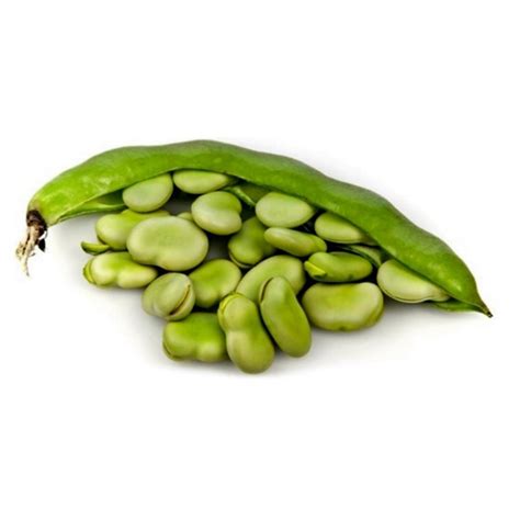 Prezzo €1 75 Semi Di Fava Favino Favetta Vicia Faba