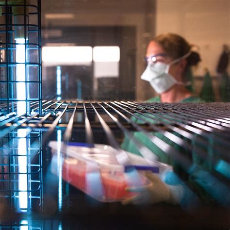 Virology Bioagilytix