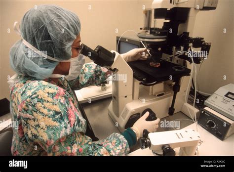 A Laboratory Technician At A Fertility Clinic Looks Through A Microscope At A Sample Ver