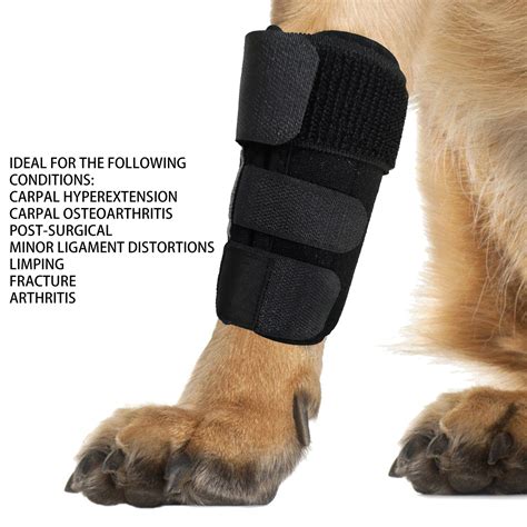 Dog Carpal Brace For Support Crawlpaw
