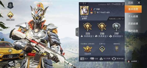 【和评精英租号】875元小时 J99，玛莎拉蒂金色—金耀白虎—m4a1星际漫游—金羽特工—小黄鸭—天空之恋—ss2战神框 116套装60