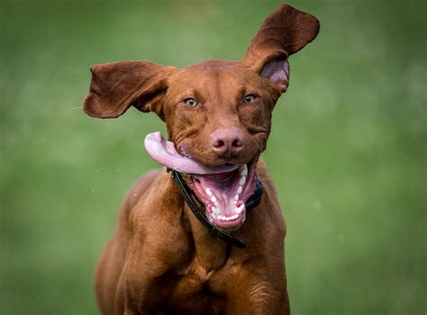 Tb ☮️ Timbourke Twitter