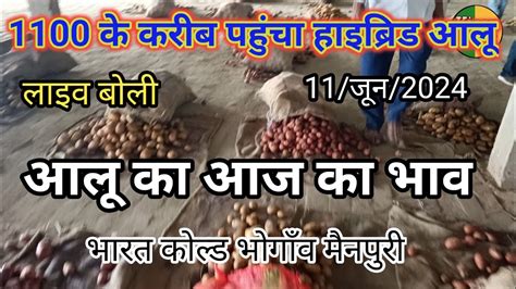11जून20241100 के करीब पहुंचा हाइब्रिड आलूpotato Rate Todaypotato