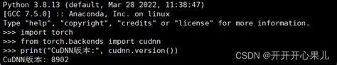 Conda Pytorch