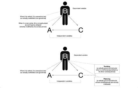 Contingency Shaped Behavior And Rule Governed Behavior In Relation