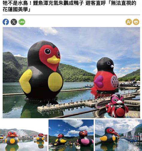 宅叔小海‧Θώθ 歷經十二年了，當年傅崐萁為「朝聖」黃色小鴨而造出的鯉魚潭紅面鴨，十二年間年年擴大繁衍，即使觀光效益一年比一年低落，仍然