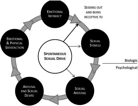 What Does Healthy Sexual Function Look Like What To Do When Sex Doesn T Feel Right