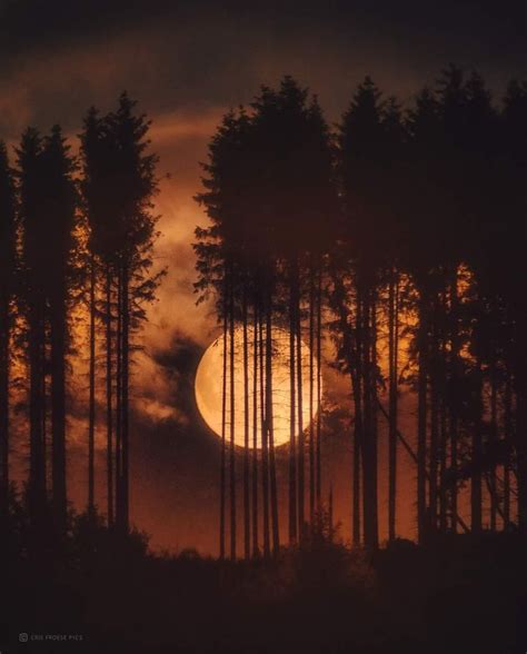 Pin By Gurutze Ramos On NOCHE Night Sky Wallpaper Moonlight