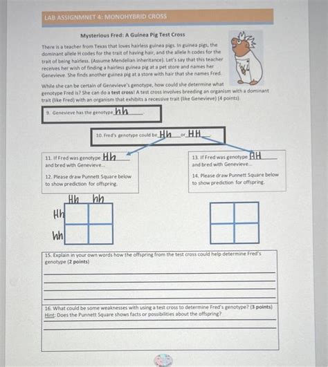 Solved LAB ASSIGNMNET 4 MONOHYBRID CROSS Monohybrid Crosses Chegg Com