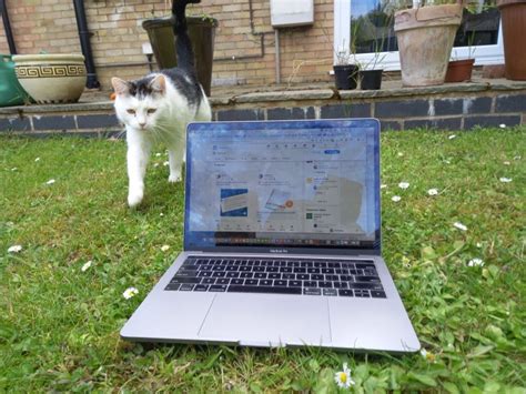 Clive Bartlett On Linkedin Socialmedia Marketing Cat Facet5