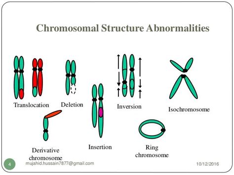 Chromosome Abnormalities List
