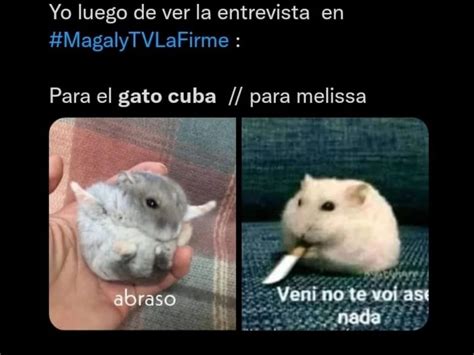 Rodrigo Cuba Memes Inundan Las Redes Tras Revelaciones Sobre El Ampay