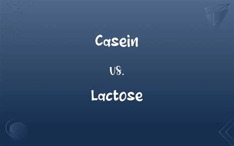 Casein Vs Lactose Whats The Difference