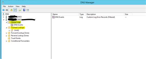 I Am Decommissioning A Ad Domain Controller And Dns Manager And Want To