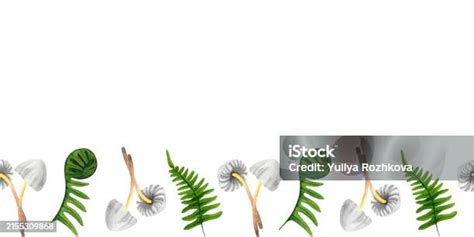 두꺼비 버섯 양치류로 만든 액자 흰색 바탕에 손으로 그린 그림입니다 디자인 배너 카드 전단지 및 초대장을 위한 템플릿입니다 0명에 대한 스톡 벡터 아트 및 기타 이미지